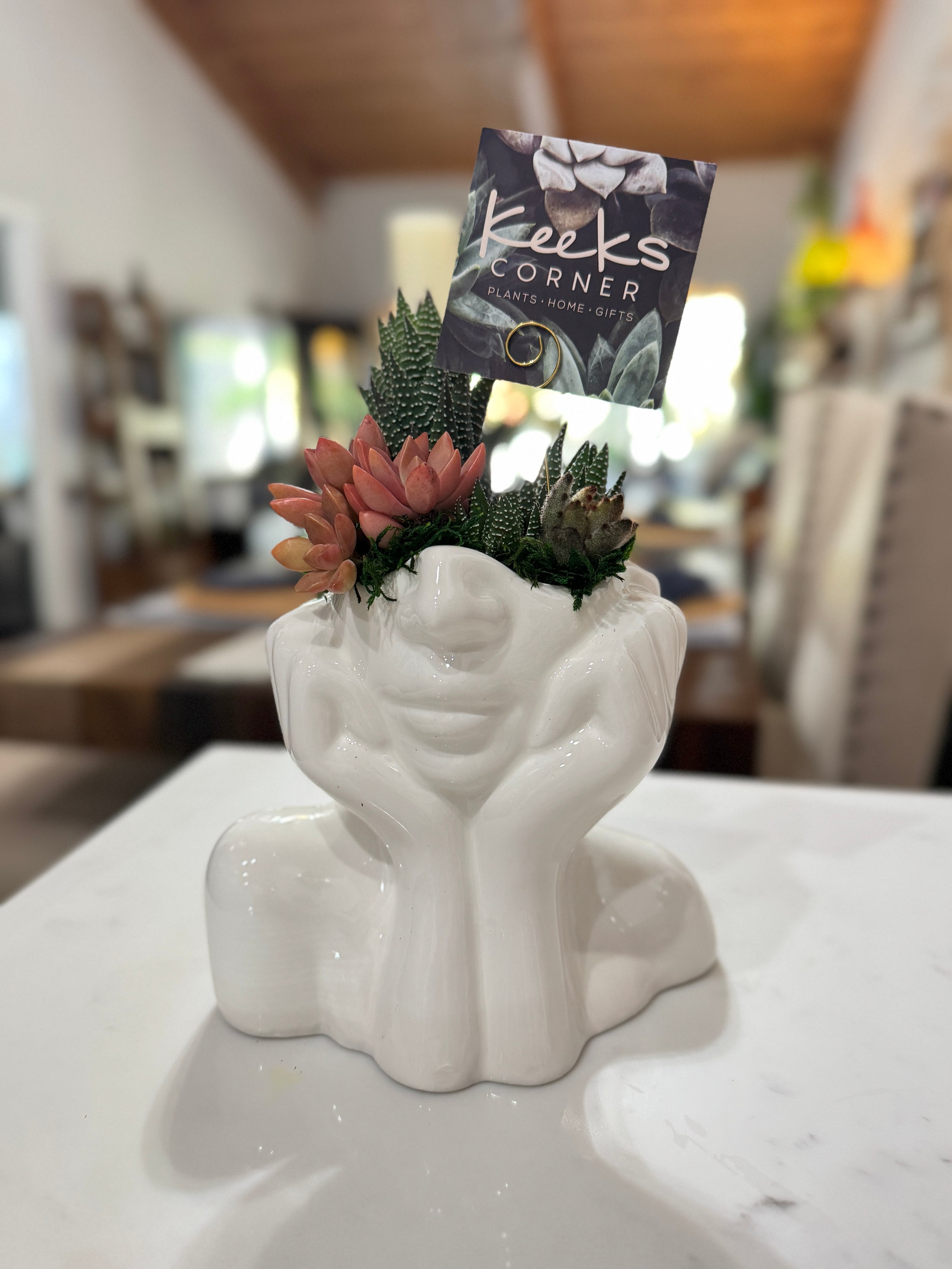 Thinker Planter with Succulent Arrangement | Keeks Corner